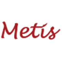 Metis Technology Solutions, Inc. company overview, insights, and ...