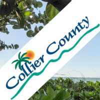 Collier County Government company overview, insights, and reviews | Lensa