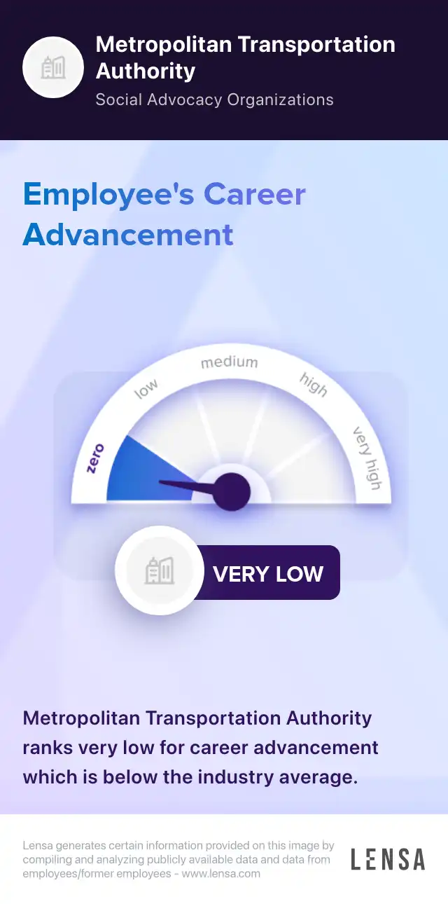 VP Deputy Project Executive job in New York at Metropolitan ...